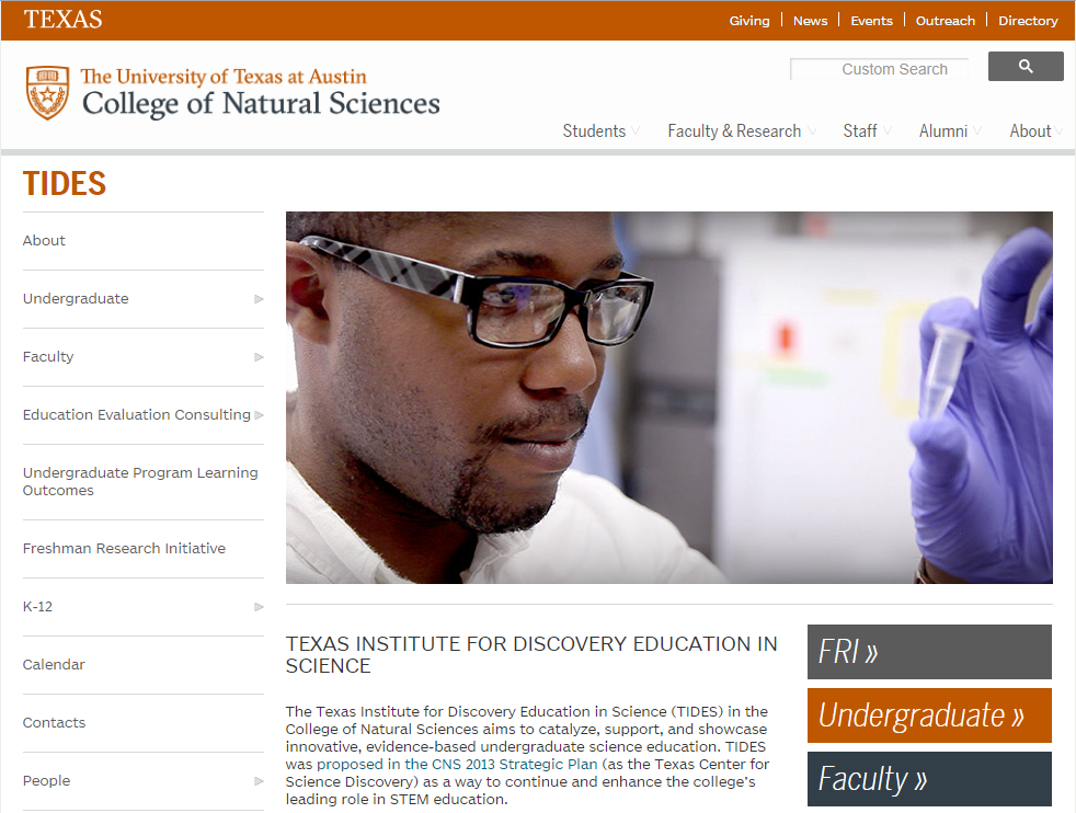 TIDES Program at University of Texas