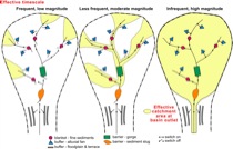 Sediment transport (dis)connectivity in the upper Hunter catchment, NSW ...
