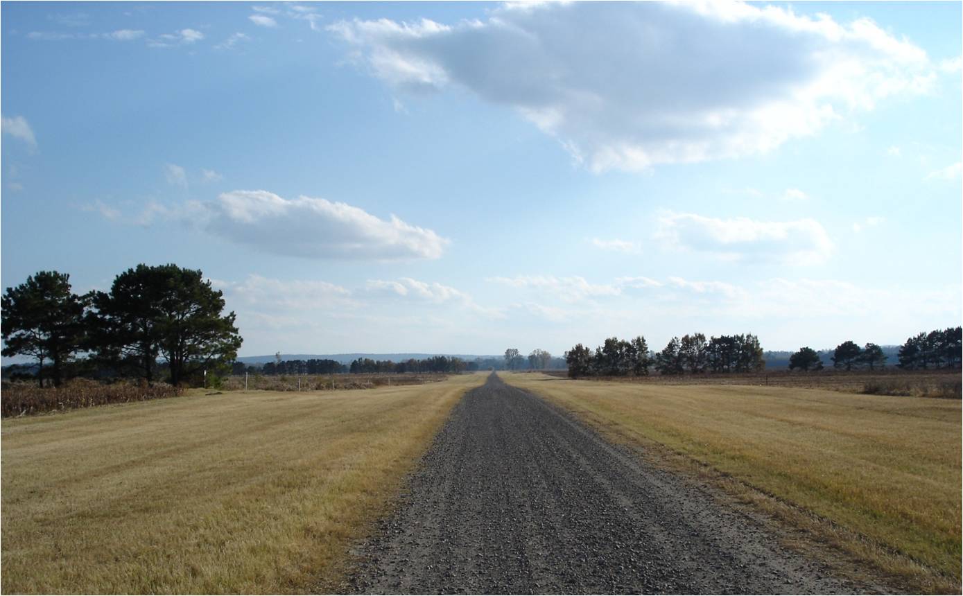 Holla Bend cutoff ridge and swale topography