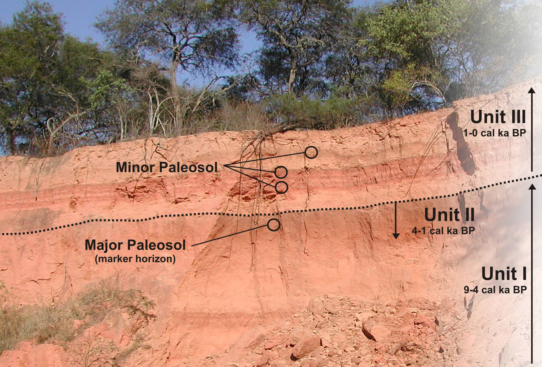 Paleosol-sediment-sequence at Charagua