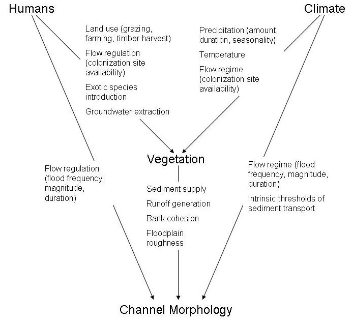 Process Interactions Diagram