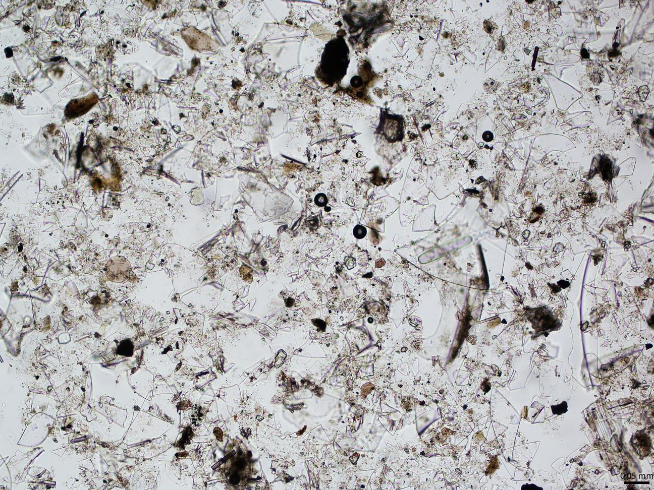 Learning About Marine Sediments Using Real Data