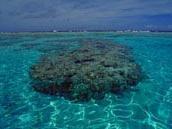 Observe islands in various stages of atoll formation