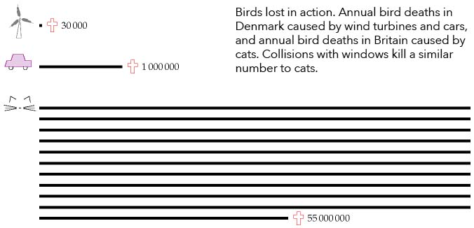 Bird Deaths