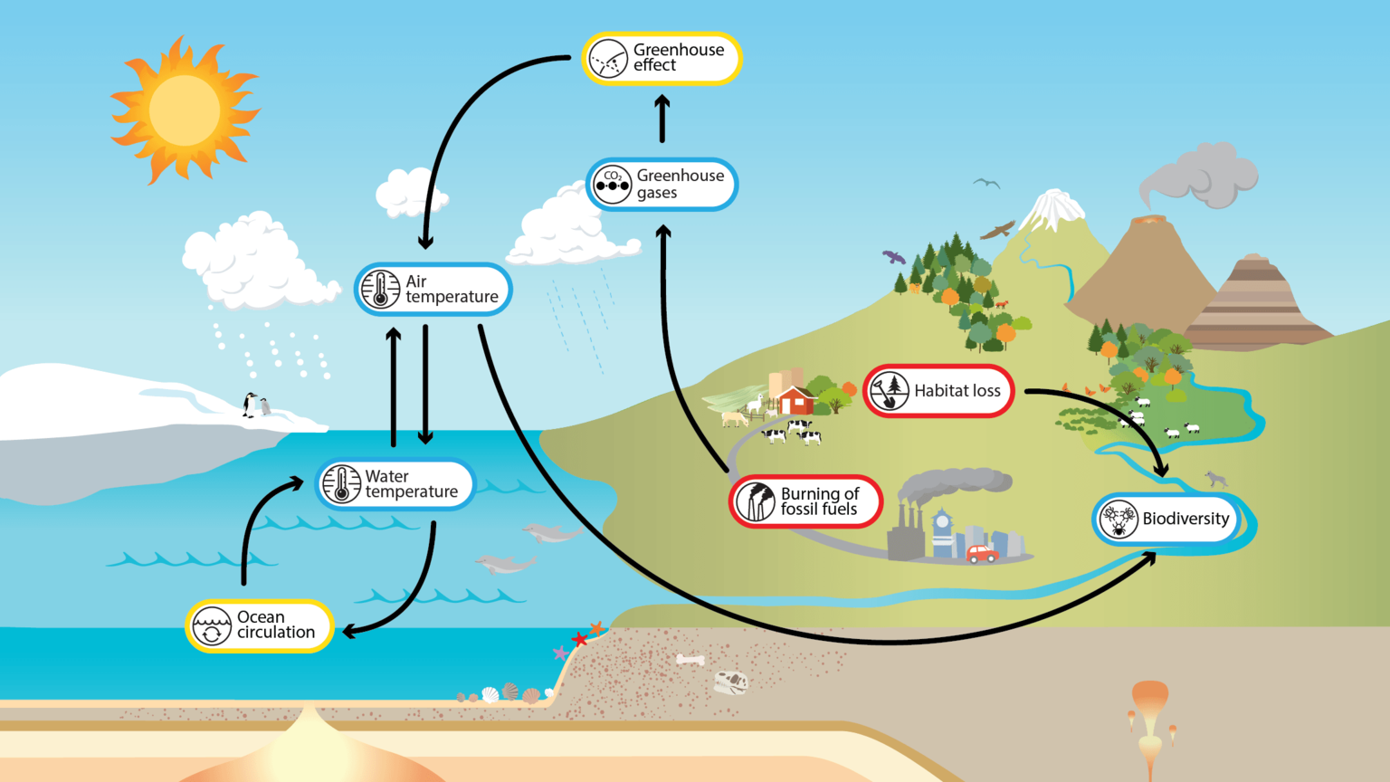 Understanding Global Change