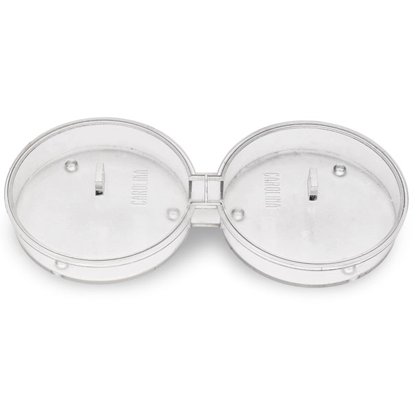 Transitioning from an Inquiry-Guided Project to a CURE in General ...