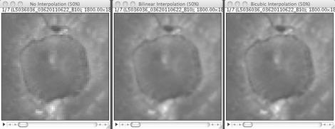 Part 2: Scale and Crop Images