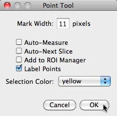 Part 1: Practice Using Selection Techniques