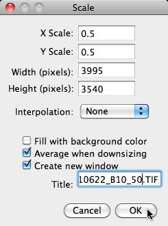 Part 2: Scale and Crop Images