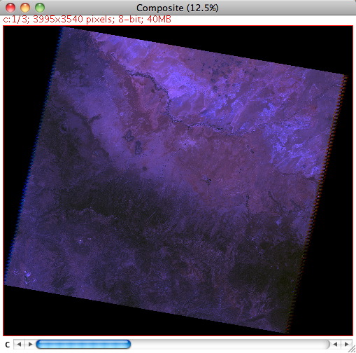 Part 2: Scale and Crop Images