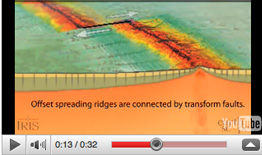 Data-Driven versus Concept-Driven Animations