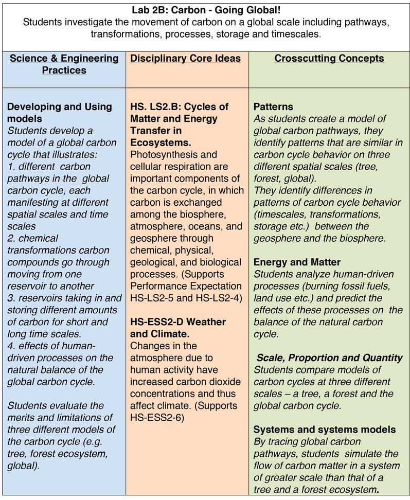 Lab 2: The Global Carbon Cycle