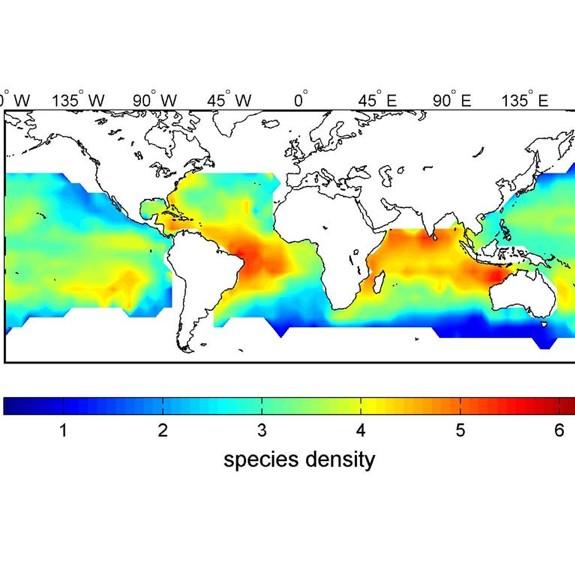 1A: Exploring Biodiversity Maps