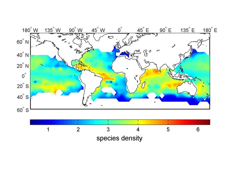 Marine Biodiversity Map