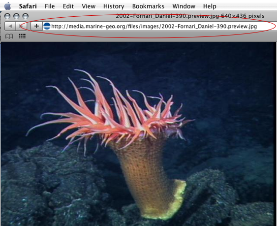 Read URL in URL space