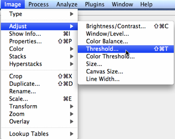 Part 2—Process and Analyze the Images