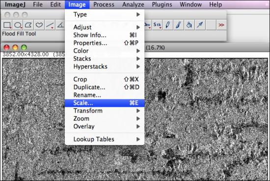 Part 2—Process and Analyze the Images
