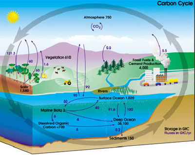 Climate and the Carbon Cycle: Unit Overview