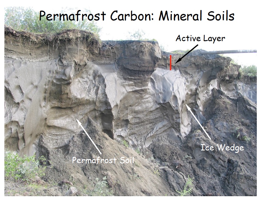 5B: Permafrost; Frozen Soil Starting to Thaw!
