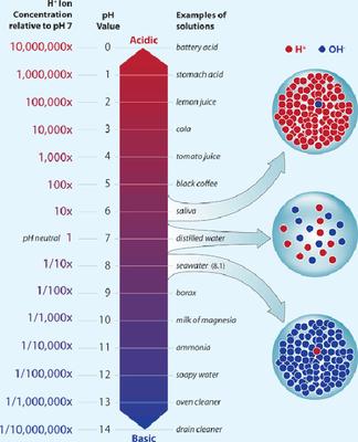 7A: Carbon Dioxide and Ocean pH: What's the Connection?
