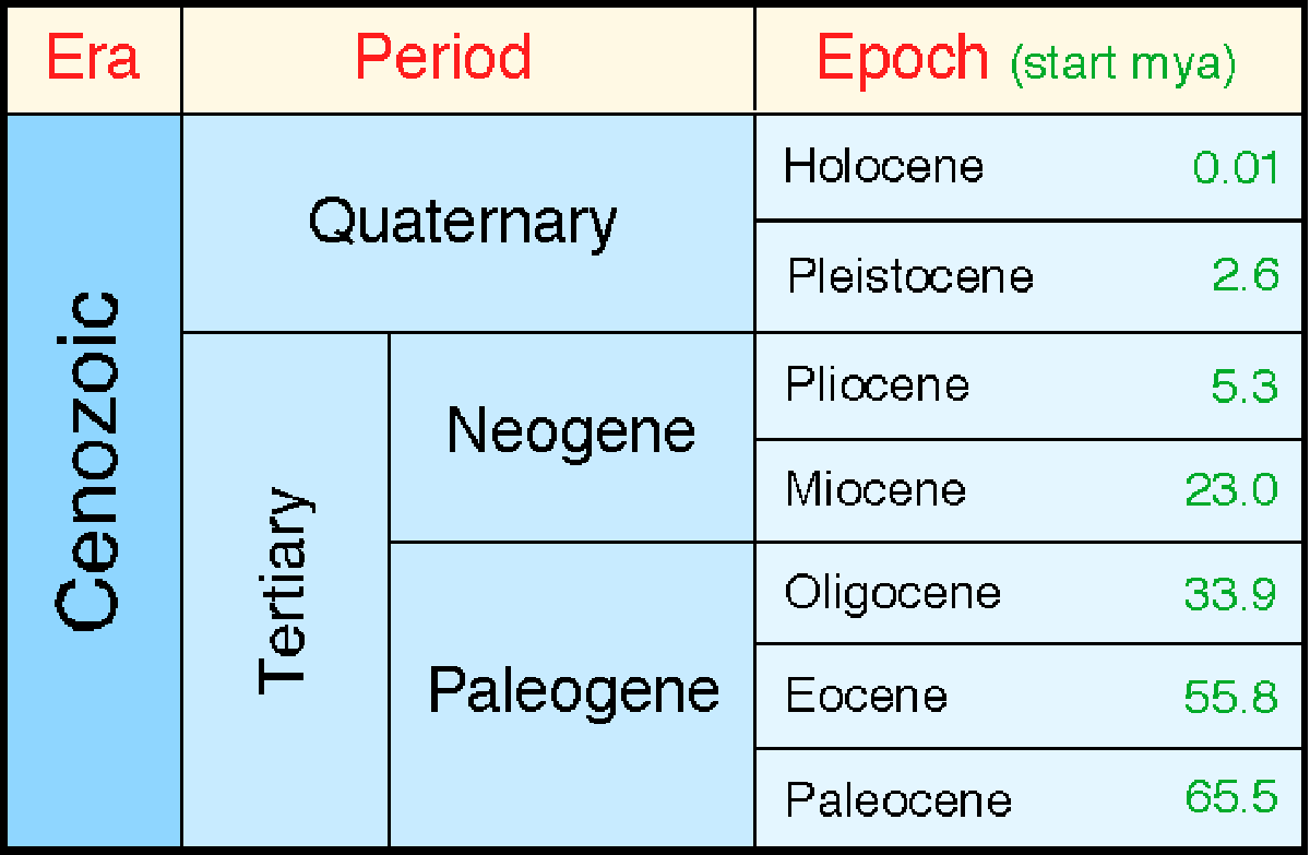 5B: The Miocene Timeline