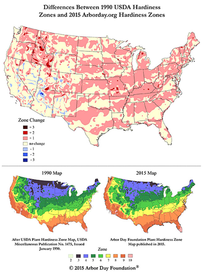 7A: Migration of the Trees