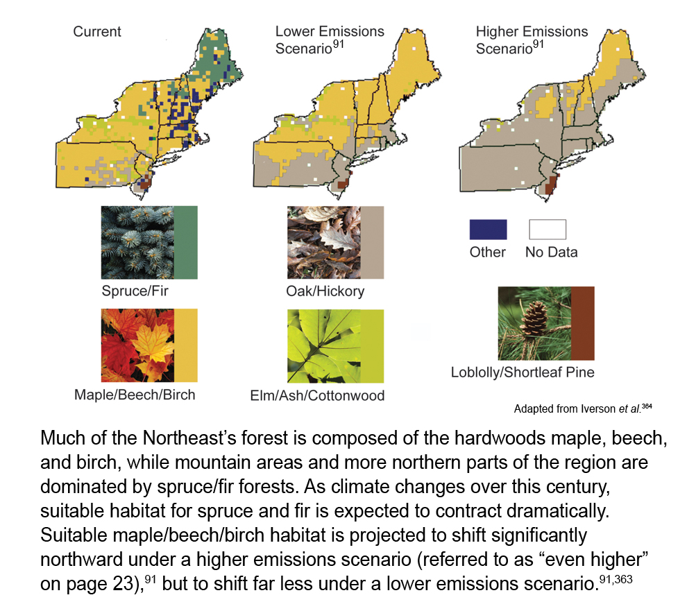 7A: Migration of the Trees