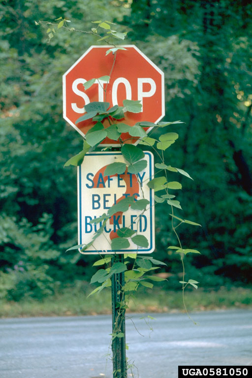 Using GIS to Analyze and Predict Invasions