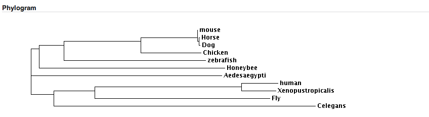 Expression of gerontogenes in neurons: A comparative genomic approach ...