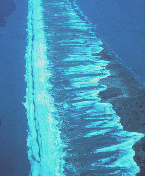 Overwash Fans on Dauphin Island.