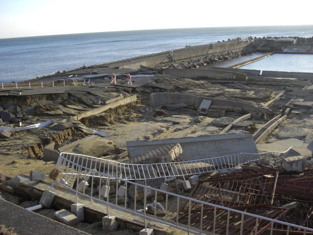 Fukushima Daiichi Nuclear Disaster