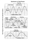 Tidal cycles