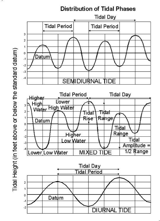 Tidal Cycles Tidal Cycles