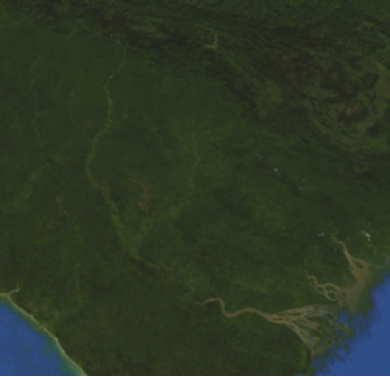 Delta Morphologies and Driving Processes