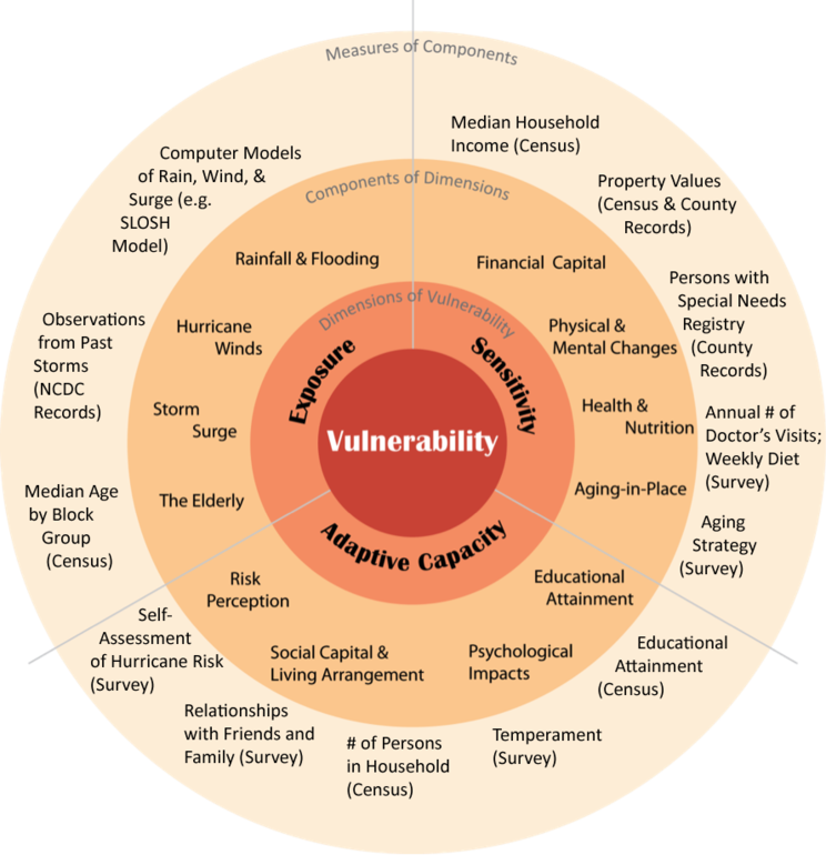 Examples of VSD explained