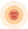 Assessing Vulnerability: The Vulnerability Scoping Diagram