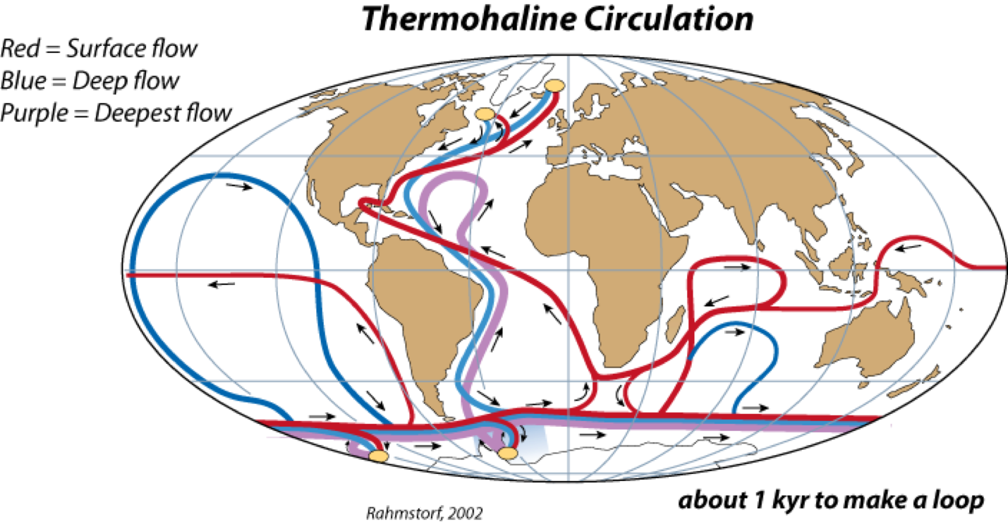Thermohaline Circulation Thermohaline Circulation