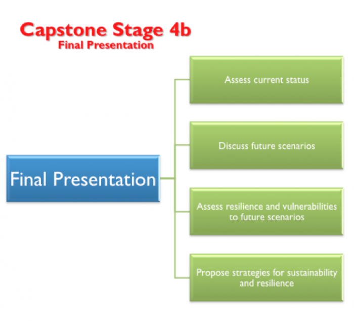 Capstone stage 4b diagram