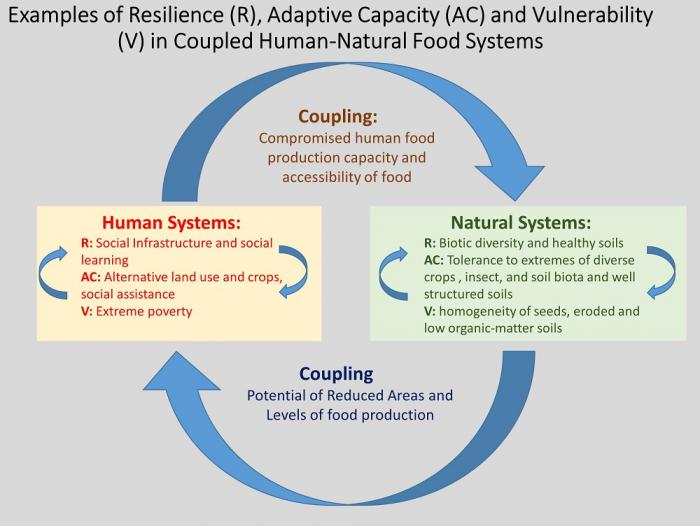 Defining Resilience, Adaptive Capacity, and Vulnerability