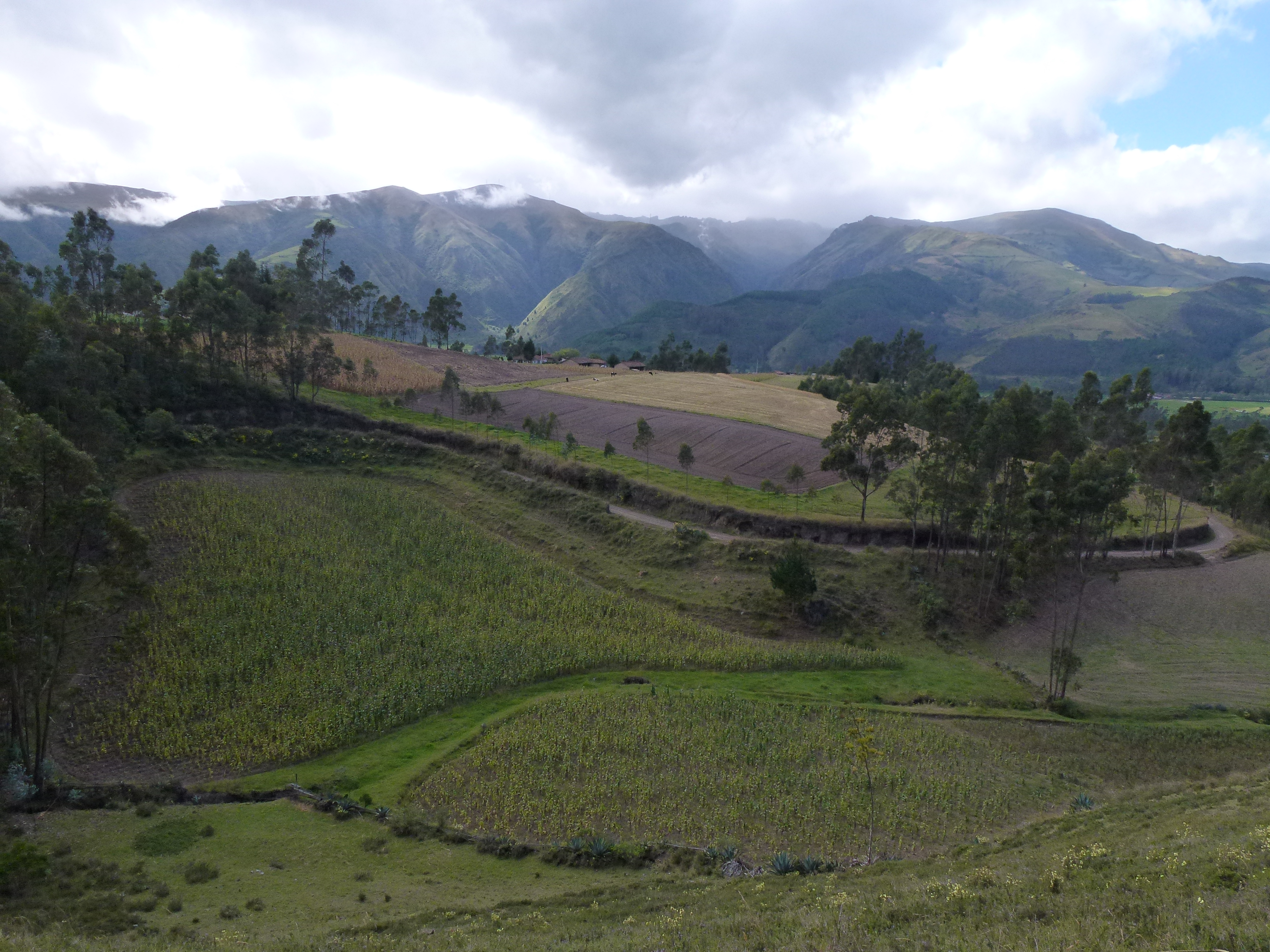 Agriculture in Ecuador
