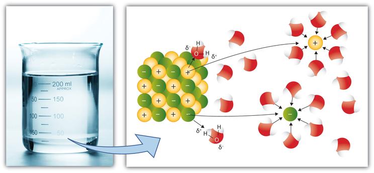 The Universal Solvent