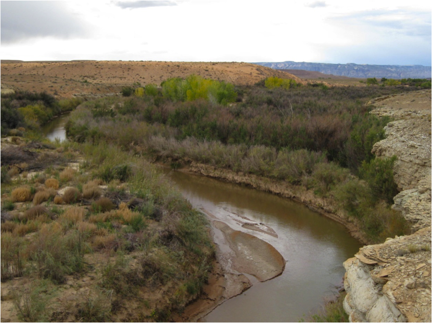 Hydrological Process