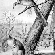 The Modern Synthesis