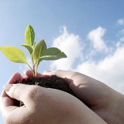 Experience-Based Environmental Projects