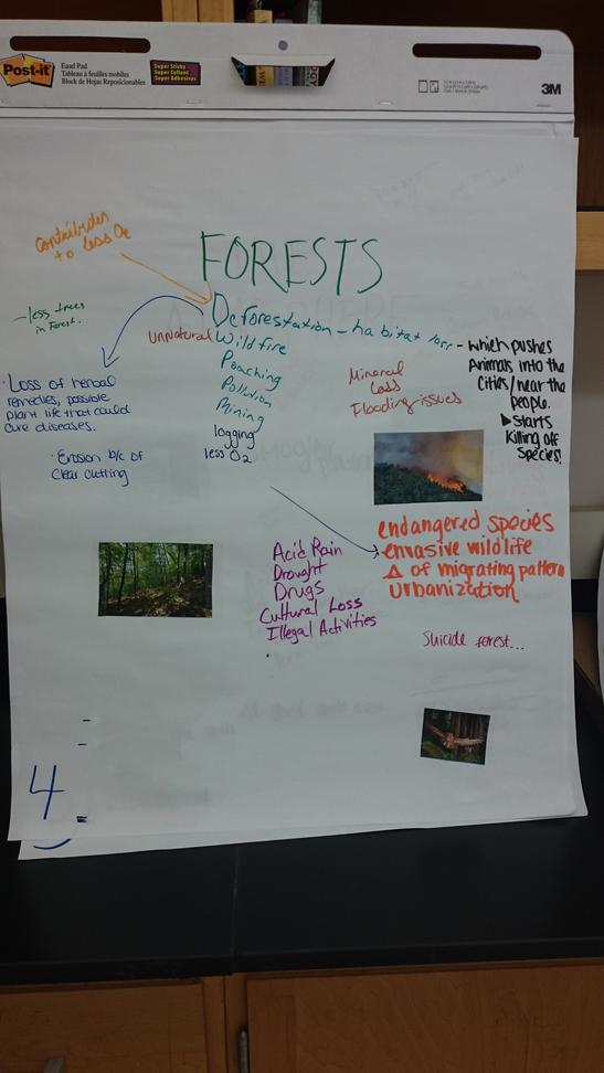 Environmental Science Gallery Walk