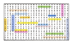 Computer Fraud Word Search