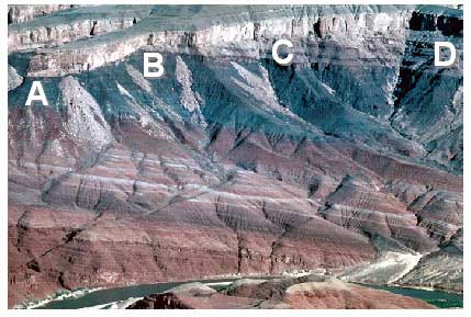 ConcepTest: Relative Layer Age #14