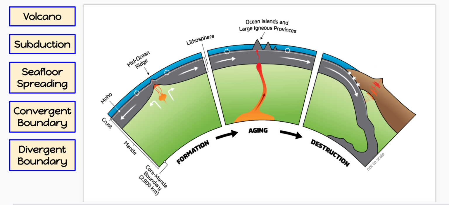 Tectonic Plates Life Cycle Drag and Drop