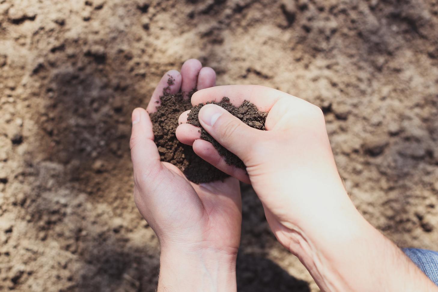 Explore: Describing Soil