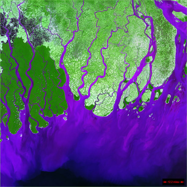 Ganges Brahmaputra delta
